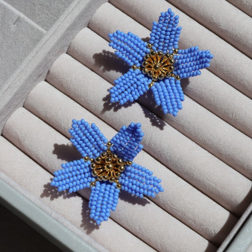 Santa Cruz Stud – DIVANA PARAGUAY