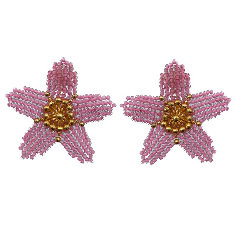 Santa Cruz Stud – DIVANA PARAGUAY