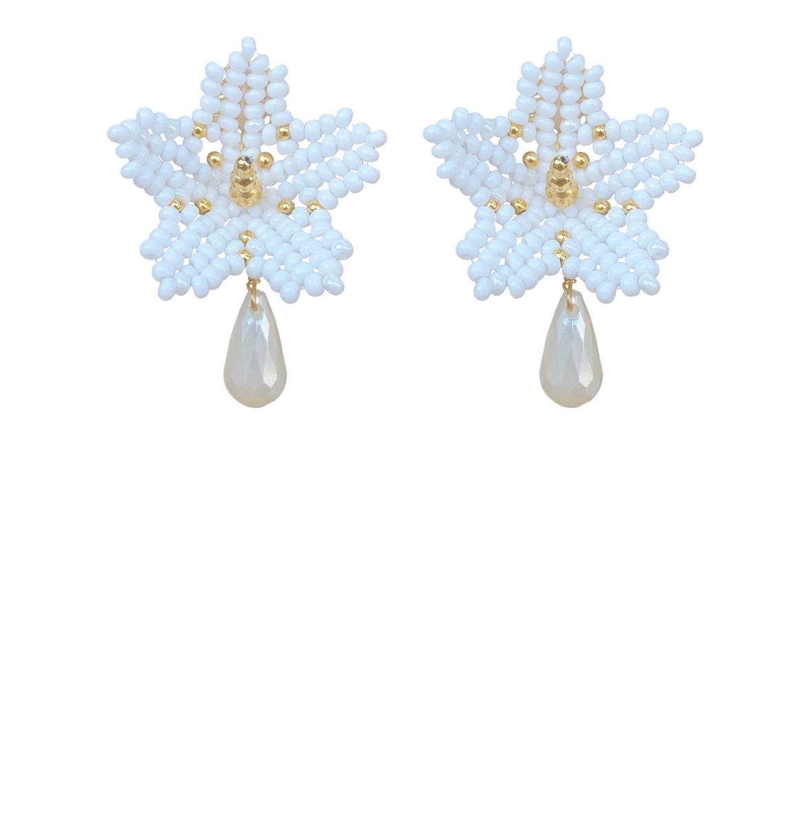 Alinda Stud – DIVANA PARAGUAY